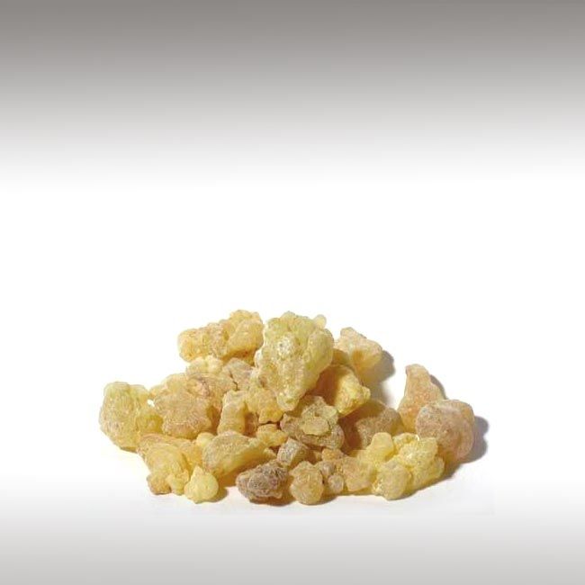 Indian Frankincense Essential Oil (Boswellia Serrata) - Essential Oils ...